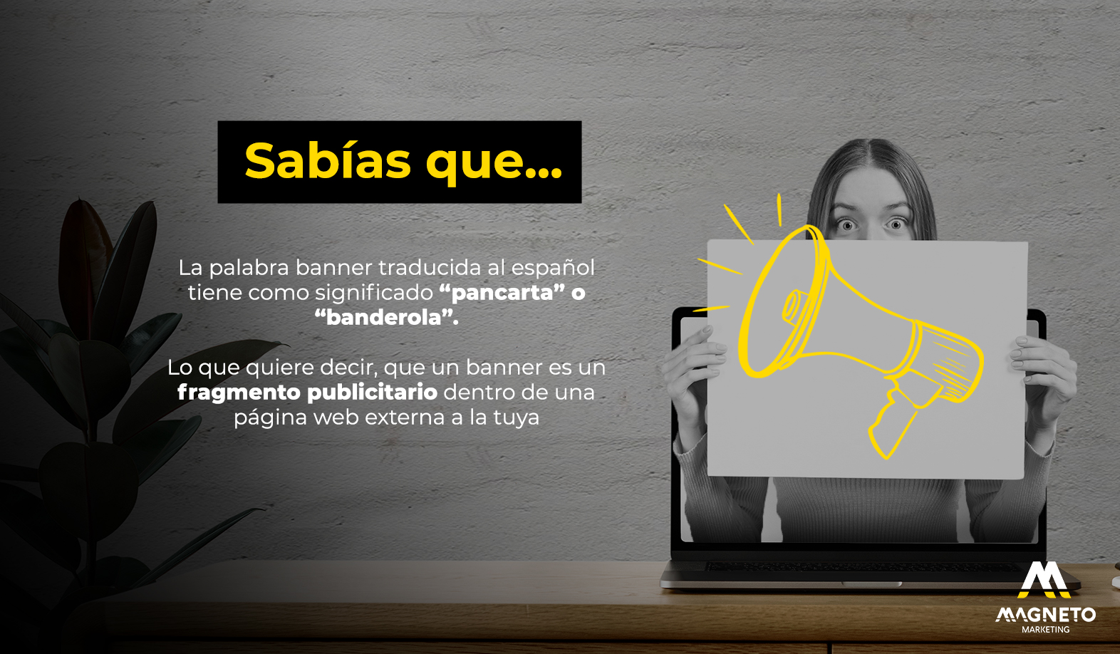 ¿Qué es un banner y cómo usarlo?